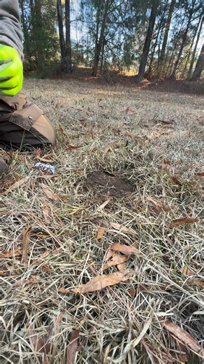 My compass set for coyotes #coyotetrapping | Stan’s Trapping