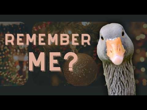 How Cheap Grain Killed Christmas Goose (And That's...OK?)