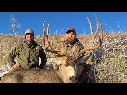 Hunting The Migration!!! Idaho Mule Deer Hunt - Stuck N The Rut 220