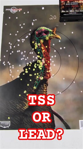 20 Gauge TSS vs Lead Turkey Loads (Both Impressed Me) #turkeyhunting #20gauge #turkeygun