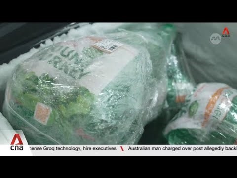 Malaysia imports halal-certified turkeys from Russia