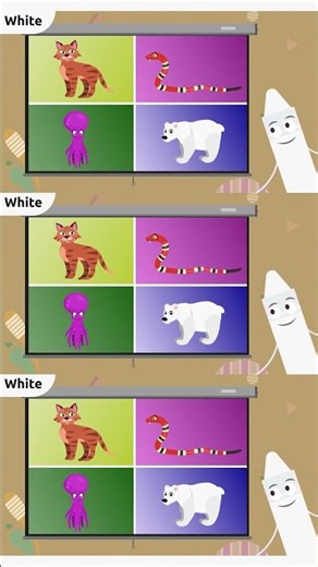 ⬜⬜⬜ Where Is the Color White?⬜⬜⬜