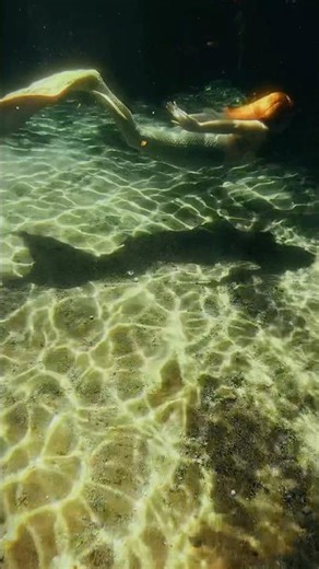 SWIM / mermaid swimming