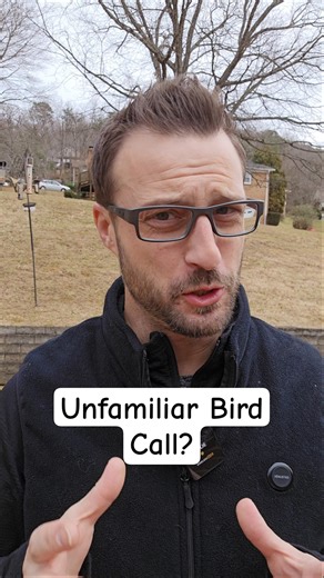 Download the Merlin Bird ID App #backyardbirding