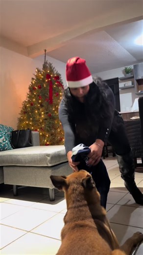 Blogsito Navideño en México: Tradiciones y Celebraciones