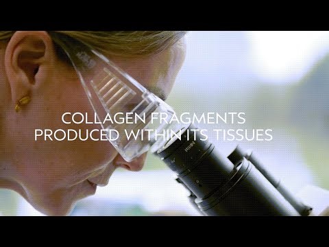 Aveda Experts: Vegan Collagen from Plants