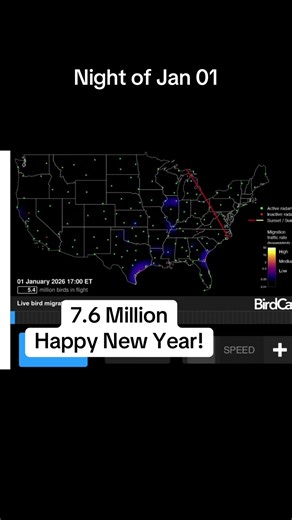 Understanding Bird Migration Patterns in 2023