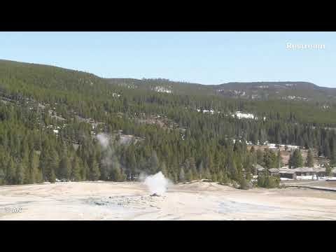 YELLOWSTONE 03.22.2026