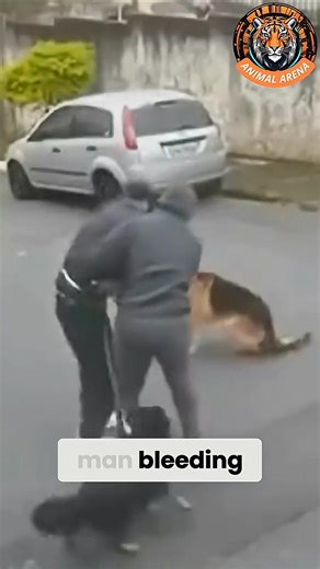 Man Fearlessly Saves His Dog from German Shepherd Attack! 😱🐕💥 This man didn’t hesitate for a second 💪😤 When a German Shepherd attacked his dog, he jumped in to save his best friend 🐕❤️ A powerful reminder that real heroes don’t wear capes 🦸‍♂️🔥 👉 Like, Share & Follow for more real-life hero moments! #HeroMoment 🦸‍♂️ #DogRescue 🐶 #GermanShepherd 🐕 #BraveMan 💪 #DogLove ❤️ #AnimalProtection 🐾 #ViralVideo 🔥 #TrendingUSA 🇺🇸 #RealLifeHero 💥 #DogOwners 🐕‍🦺 | dog World