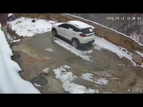 Duck falls into manhole after cover flips in Gansu, China