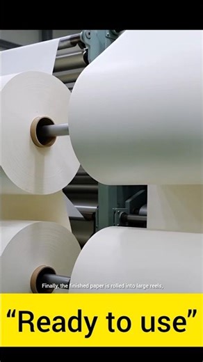 How Paper Is Made From Trees