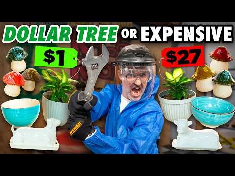 Dollar Store vs. Expensive Product Challenge