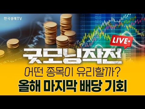 "찬 바람 불 땐 배당주" 분리과세 기대 확산... 연말 강세 이끌까? | 굿모닝작전_251226