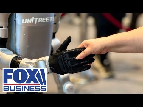 VanEck CEO Jan Van Eck says the ‘AI bubble already popped’