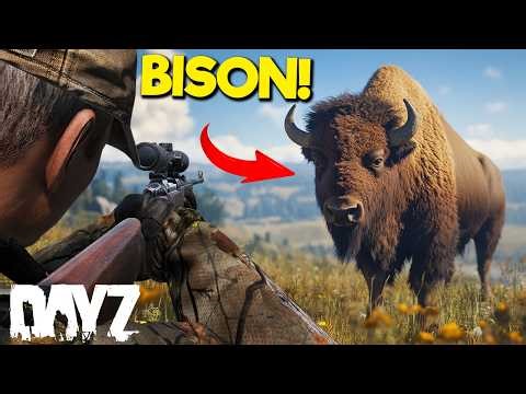 This DayZ Map Has It All!