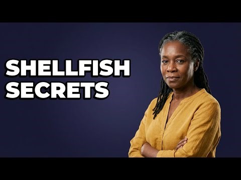 Which Seafood Types Are Actually Shellfish?