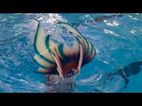 Raina Mermaid is Training at the Pool #livestream #mermaid #pool #freediving #canada