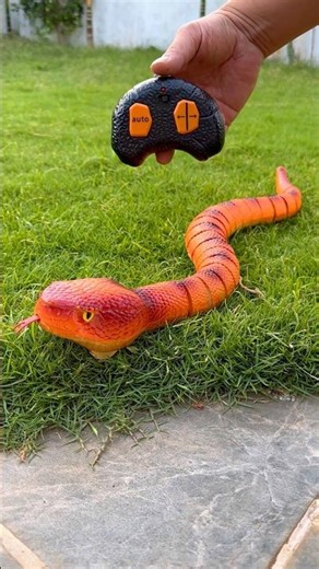 Big Remote Control Snakes 🐍 Testing