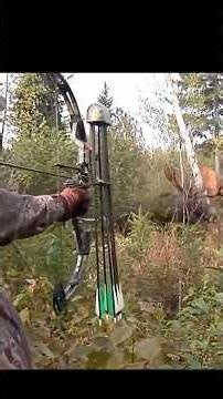 5 BIG MOUSE BOW HUNTS