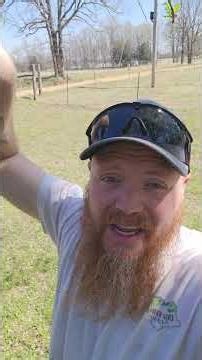 🌳 Fix Fruit Tree Problems This Spring! Fruit Tree Care & Maintenance #spring #tree #springequinox