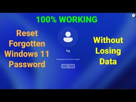 How to Reset Windows 11 Password | No Data Loss