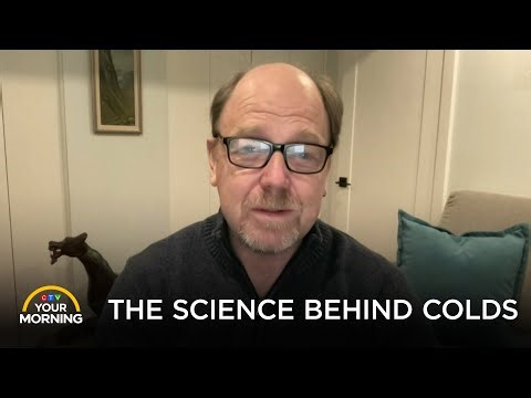 The Cold & Seasonal Colds | Your Morning