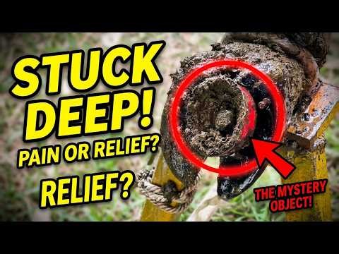 Amazingly!! Removing Rusty Screws Techniques for Deep Cleaning Cow Hooves and Nail Repair Cows TV