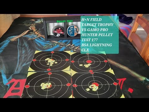 BSA Lightning CLX in 177 Gamo Pro Hunter vs H+N Field Target Trophy Pellet Test #2026 #pelletrifle