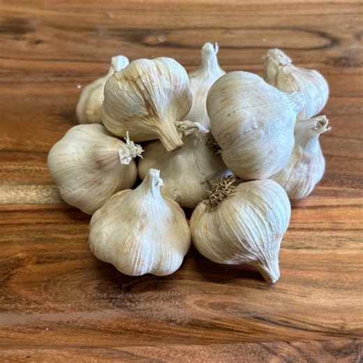 🧄 Did you know you can plant garlic in the Spring? ✅ Get a head start on your garden — our garlic is already vernalized and ready to go in the ground for a beautiful summer harvest! 💚 Pre-order your spring planting garlic here https://ow.ly/5XrM50XLa3e 👉 For more information on planting garlic in the Spring visit https://ow.ly/W4X450XLa3b #SpringGarlic #GarlicPlanting #OrganicGarlic #GarlicLovers #VernalizedGarlic #SummerHarvest | Keene Garlic
