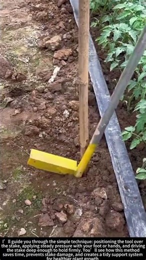Insert Plant Stakes with a Tool! 🌱🔧