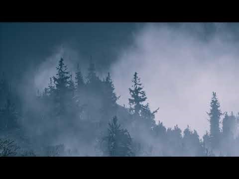 You're never alone, in... Fatal Frame 2: Crimson Butterfly REMAKE | LIVE | Part 7