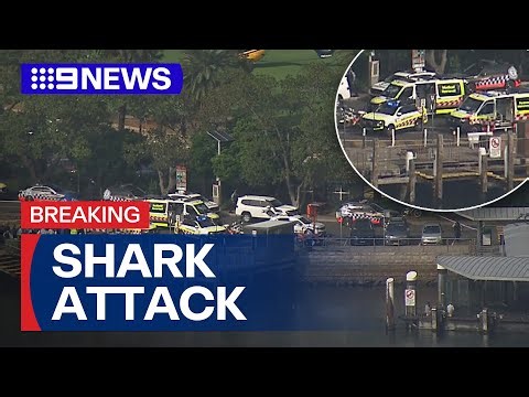 Boy fighting for life after Sydney harbour shark bite | 9 News Australia