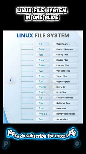 Linux File System Explained | Directories You Must Know 📂 #shortvideo #viral #viralvideo #coding