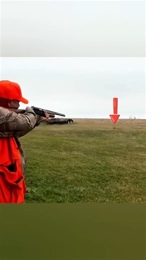 Wild Rabbit Hunting – Perfect Precision Shot in the Wild 🎯🐇 #кролик #hunting #охота #rabbit