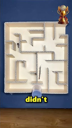 This Man Tested the Intelligence of Two Insects 😱