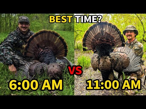 What’s the BEST Time to Hunt Turkeys? (6 AM vs 11 AM)