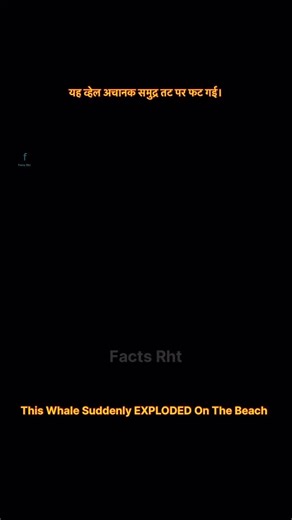 Facts Rht on Instagram: "This Whale Suddenly EXPLODED On The Beach"