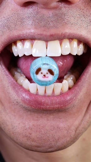 Best ASMR | 🐶 Hard Candy