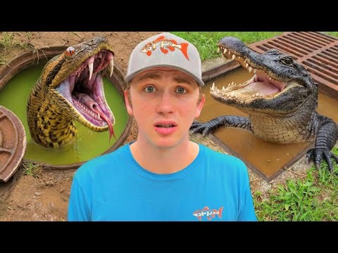 Every Sewer Monster i Found in 2025…