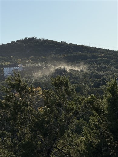 Don’t let your allergy guard down; incoming cold front could spike cedar pollen again