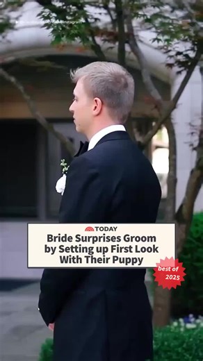 Dog Surprises Groom in Heartwarming Wedding Moment