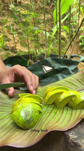 Cutting avocado