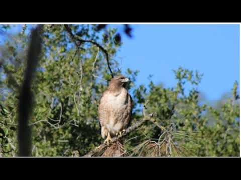 “Hidden Facial Trauma & Medical System Failure”