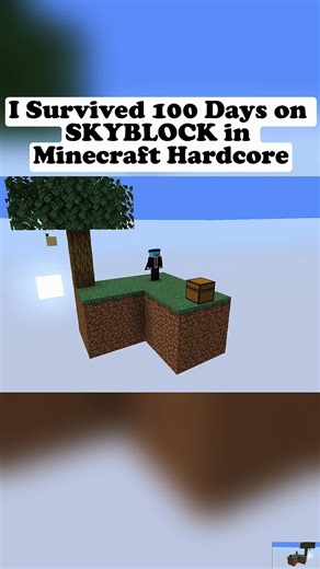 I Survived 100 Days on SKYBLOCK in Minecraft Hardcore... #minecrafthardcore #minecraft100days
