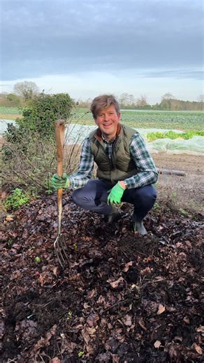 Composting Tips for Nutritious Garden Beds and Borders