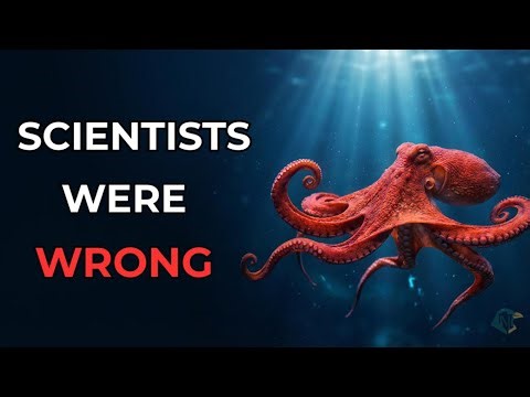 Scientists Say Octopuses Are Aliens. The Truth Is More Terrifying