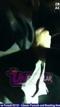 "I'M IN CHARGE HERE!" — Suspect Tries to Negotiate His Own DUI Arrest