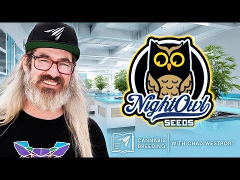 Autoflower Breeding Basics with Chad Westport & Night Owl Seeds | Learn with AC Infinity | Ep. 5