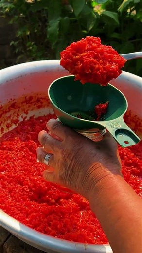 Fire-Grilled Vegetable Puree: Traditional Cooking Over Open Flames