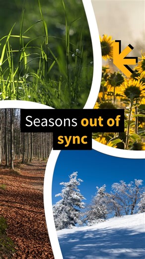 ScienceAlert on Instagram: "Don't let the calendar fool you - the arrival of spring, summer, fall, and winter isn't as coordinated as we'd love to believe. A study based on satellite imagery of changes in plant growth demonstrates just how little the seasons really do synchronize around us. Full article and video links are in our story! 👀 Also in the 🔗December 2025 highlight on our Instagram profile."